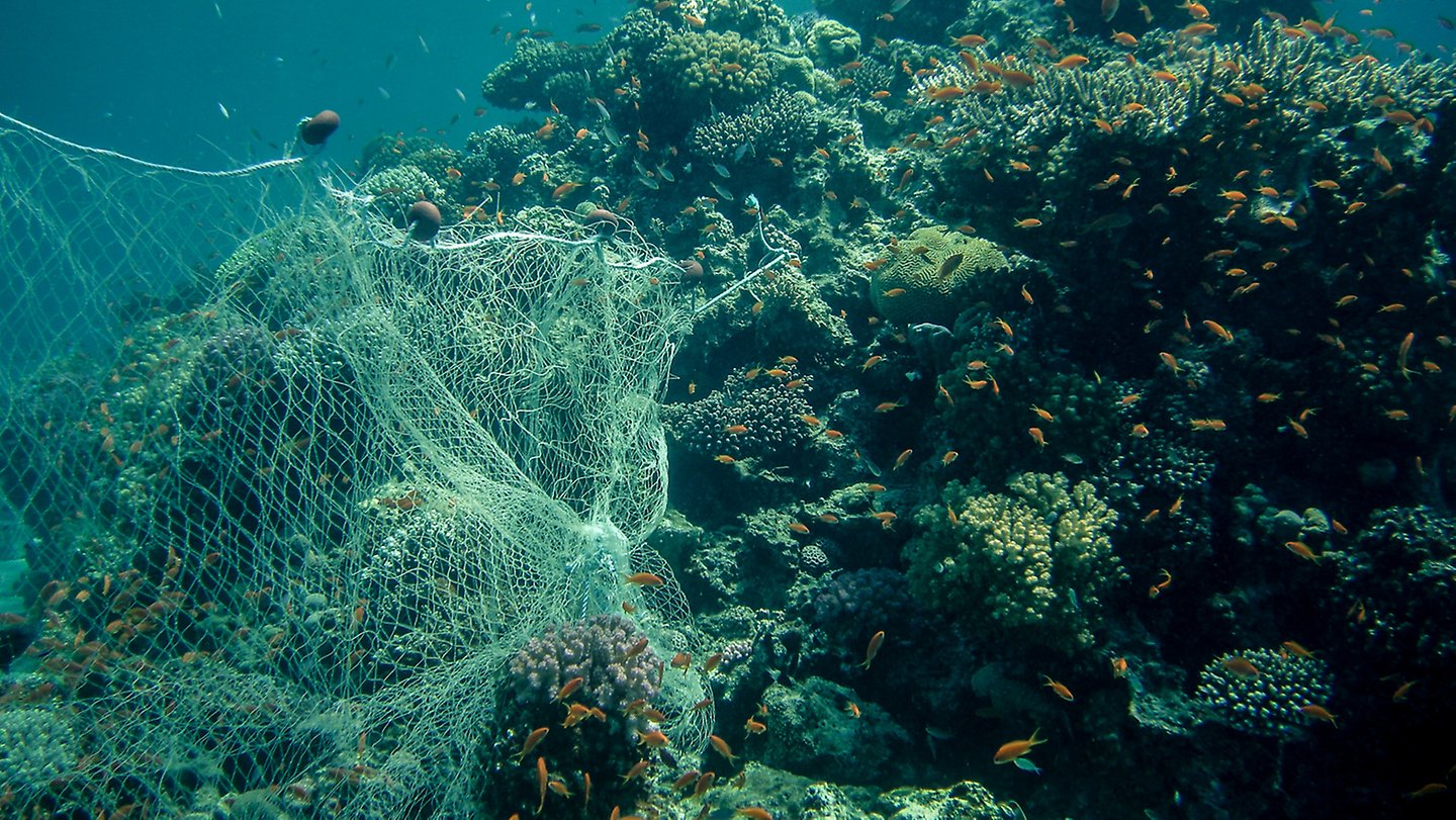 Medfinansiering av projekt som görs för att kartlägga, dragga och ta ...