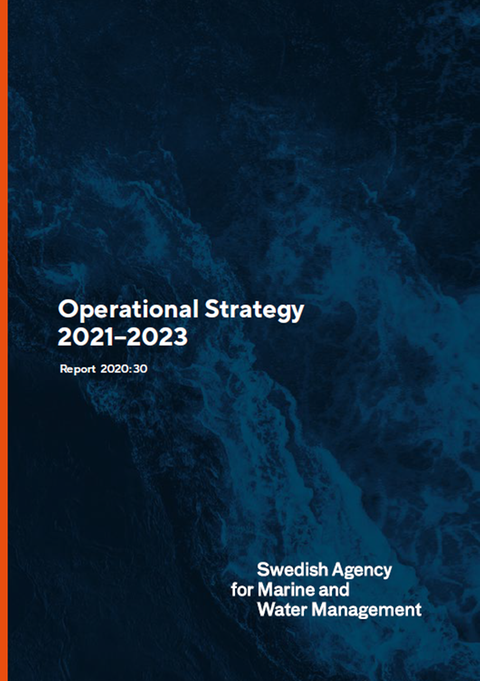 Operational Strategy 2021–2023 - Publications - Swedish Agency for ...