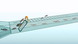 Kräfttrål med seltra och rist (Redskapskod 352) - Fiske och handel ...