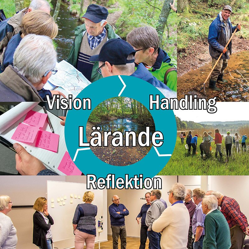 Delta, samverka och agera genom verktygen. - Internationellt samarbete ...