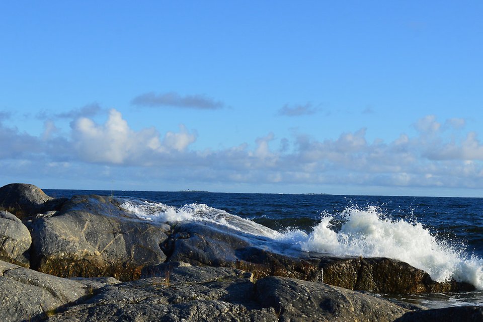 Har du idéer om hur havs- och kustmiljön kan bli bättre? - Aktuellt ...